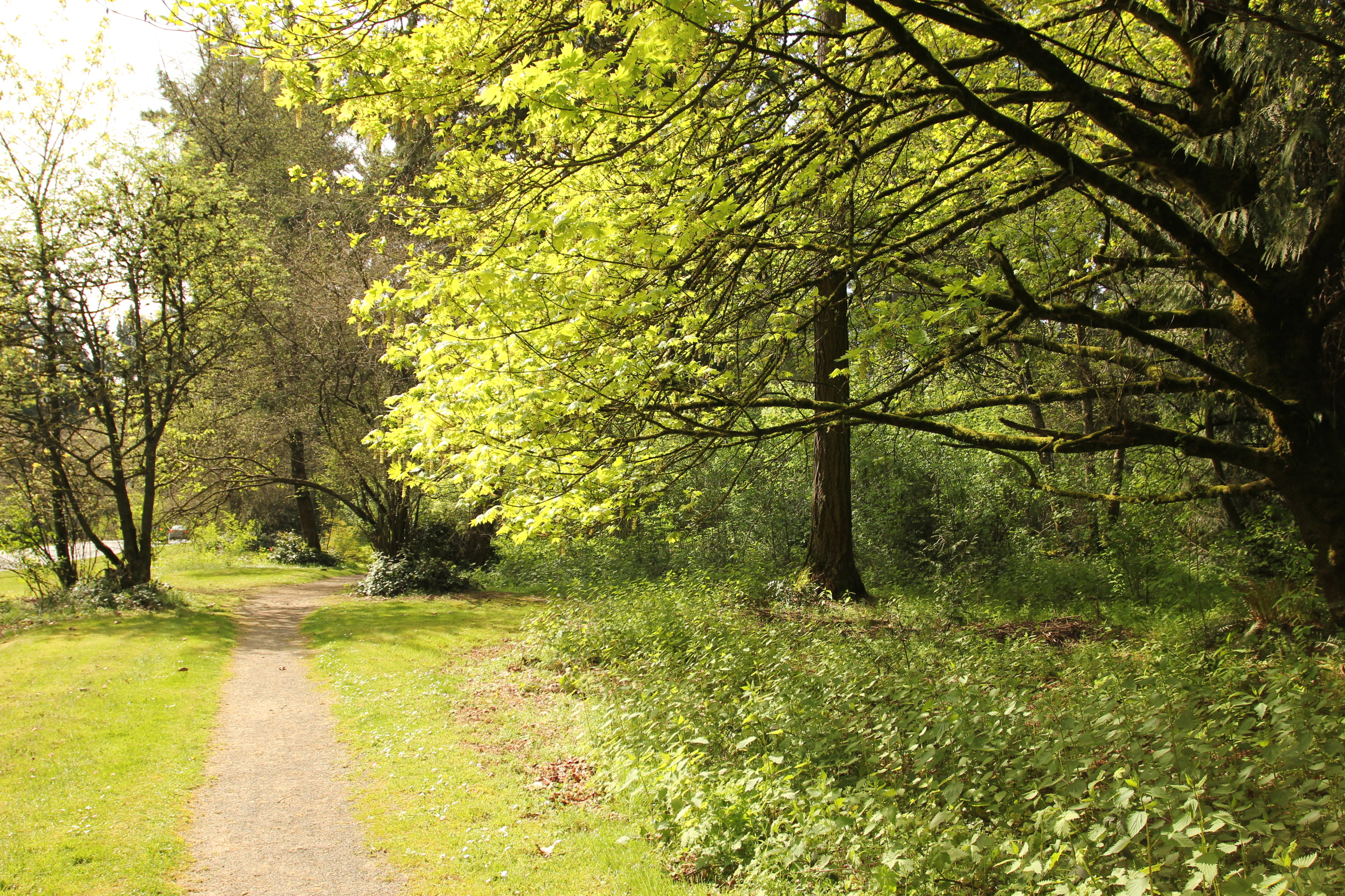 Open Space Trail Use Guidelines | Mercer Island, Washington