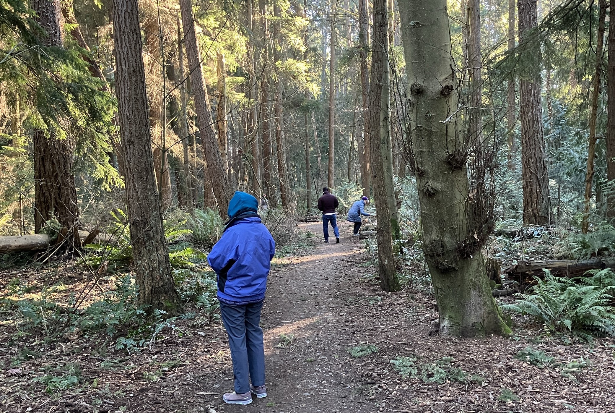 Mindfulness Walk | Pioneer Park | Mercer Island, Washington