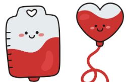Bloodworks Northwest Blood Drive | Mercer Island, Washington