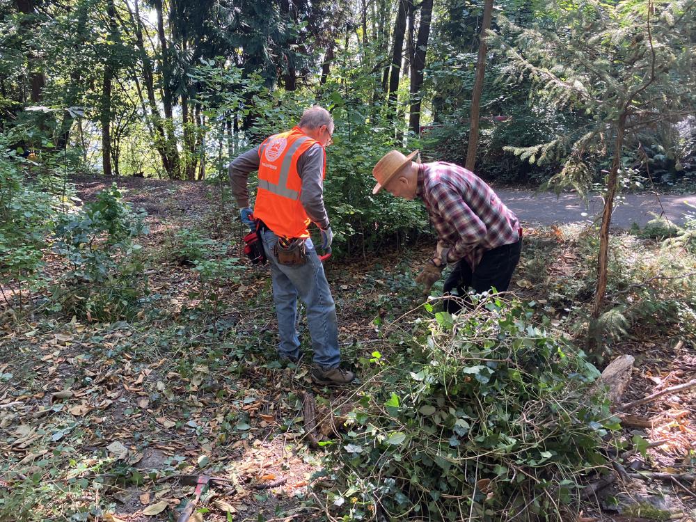 Restoration Event | Clarke Beach Park | Mercer Island, Washington