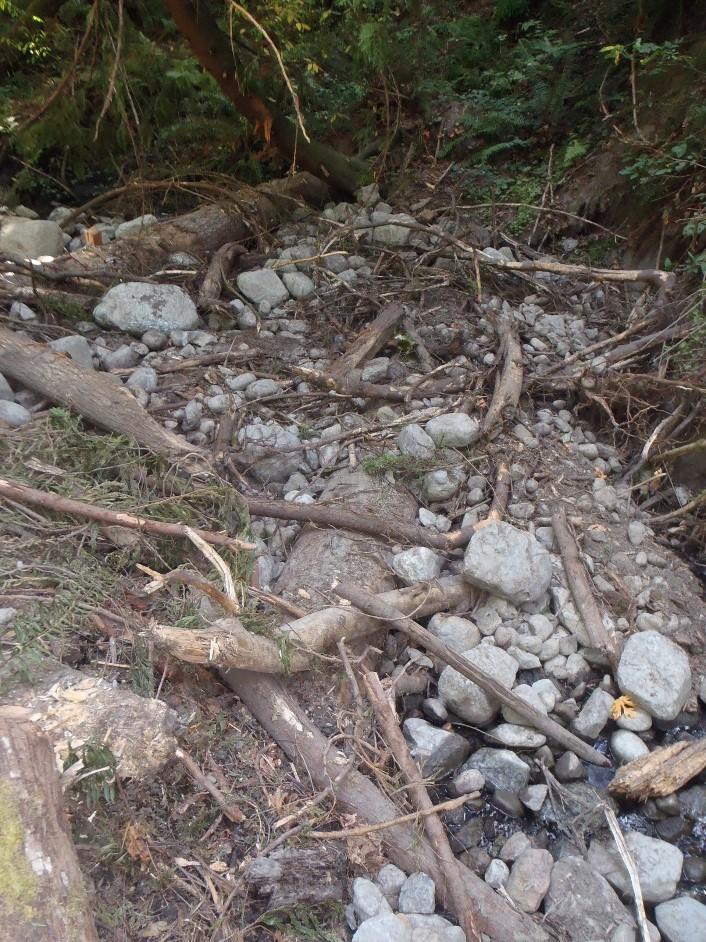 Sub Basin 42.1 and 42.1a Watercourse Stabilization | Mercer Island ...