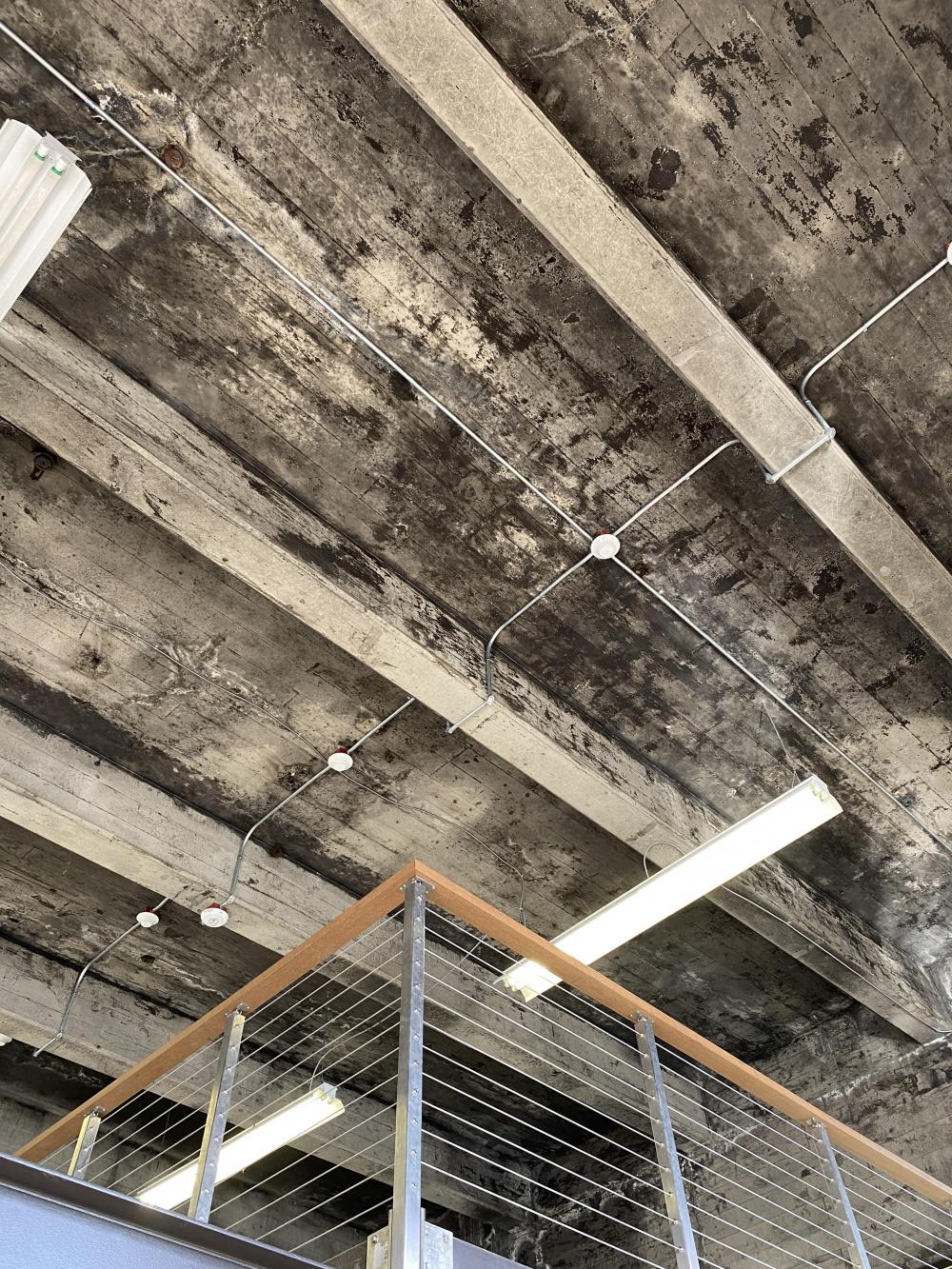 Luther Burbank Park Boiler Building Phase 1 | Mercer Island, Washington